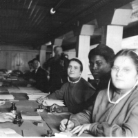 Geraldine Wilson – Diary of a Historian